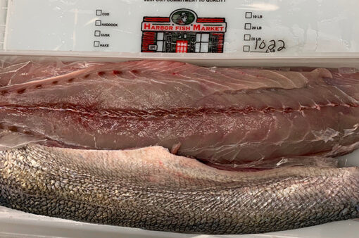 Fresh Bluefish Fillet • Harbor Fish Market